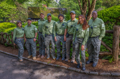 Jobs | Central Park Conservancy
