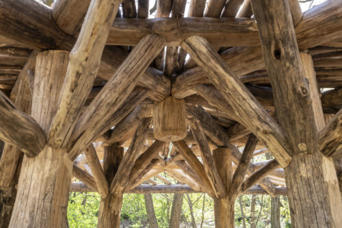Reconstruction of the Ramble's Rustic… | Central Park Conservancy