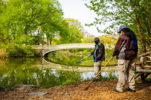 The Ramble | Central Park Conservancy