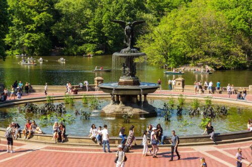 Adopt-A-Bench | Central Park Conservancy