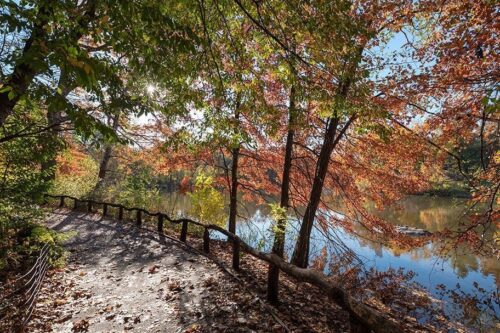 Naumburg Bandshell | Central Park Conservancy