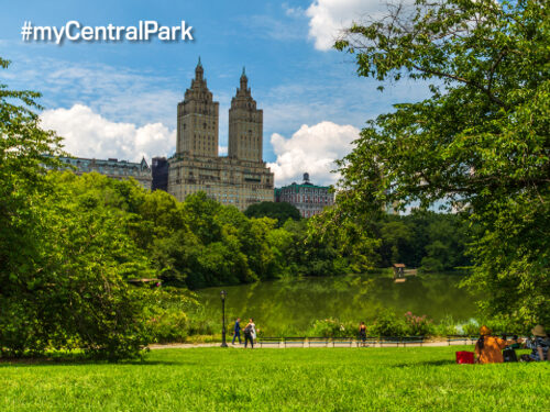Digital Backgrounds | Central Park Conservancy