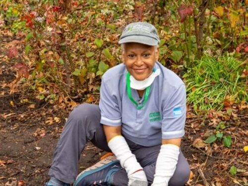 Volunteer | Central Park Conservancy