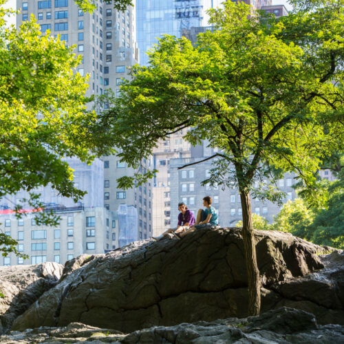 Your Official Guide to Central Park | Central Park Conservancy