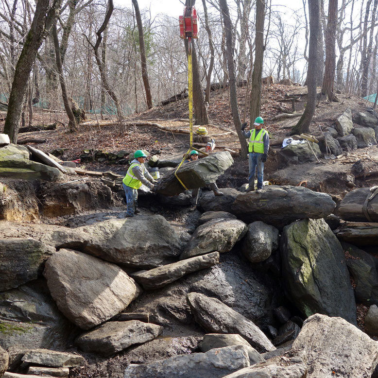 Restoration of the Ramble | Central Park Conservancy