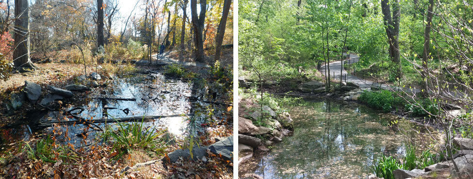 A Look Back: Improving Central Park in 2017 | Central Park Conservancy