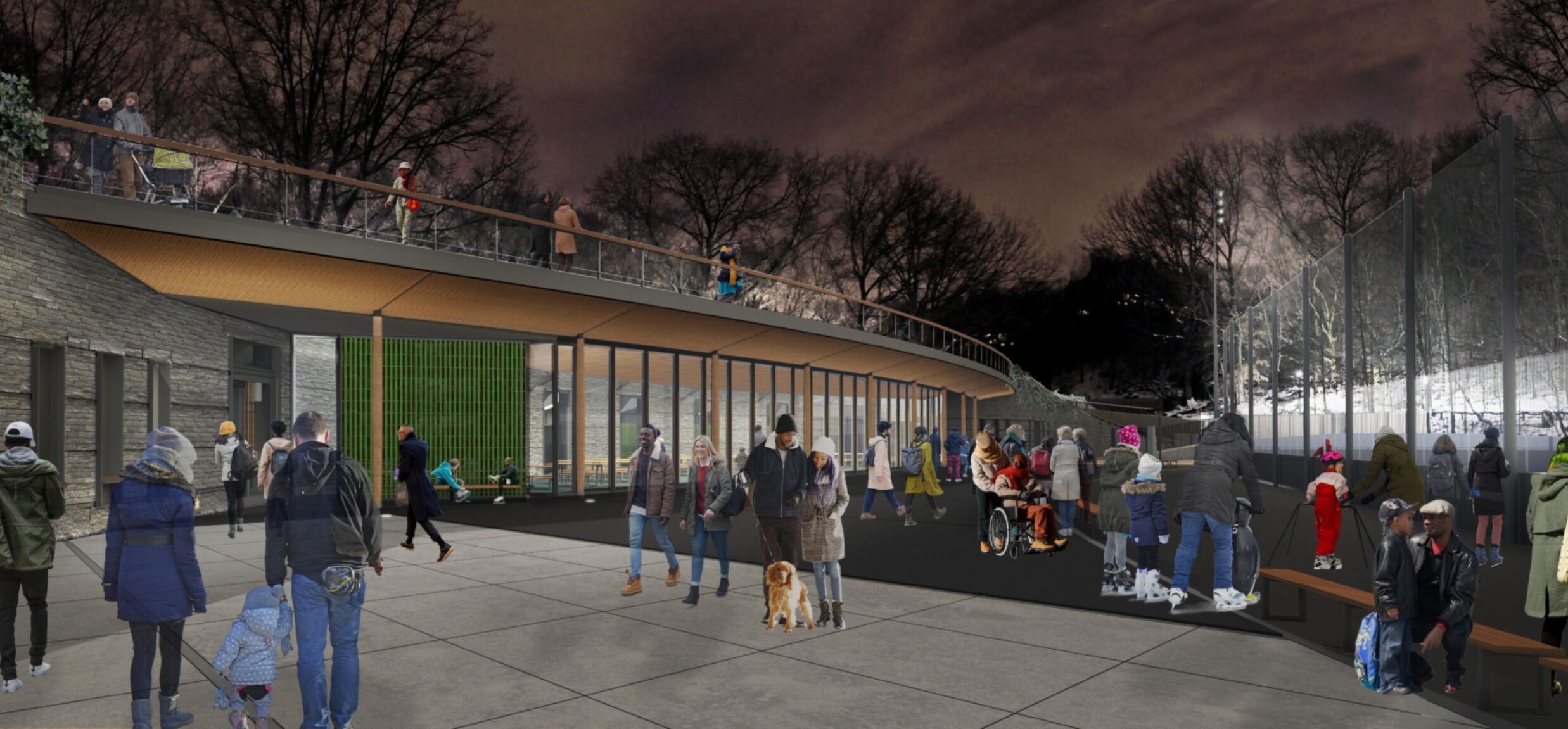 Davis Center Rink Rules | Davis Center