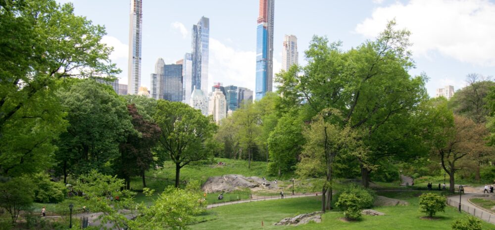 The Dene | Central Park Conservancy