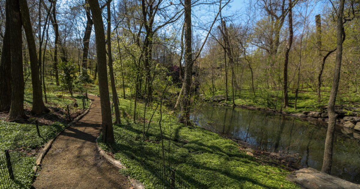 The Ravine | Central Park Conservancy