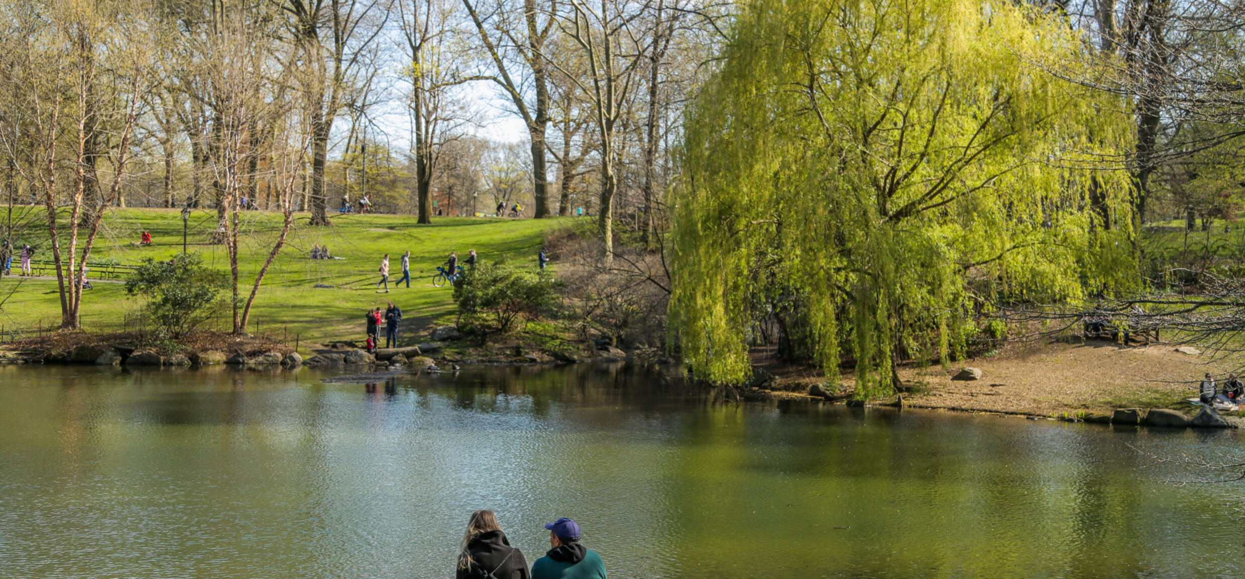 The Pool | Central Park Conservancy