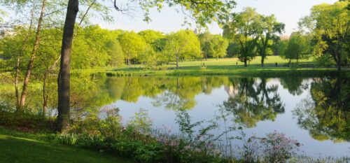 Turtle Pond | Central Park Conservancy