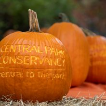 Press - Central Park Conservancy