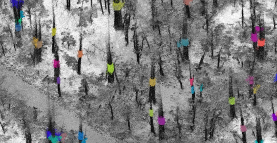 Norlab Pushes Autonomous Navigation Beyond Its Limits with Warthog UGV ...