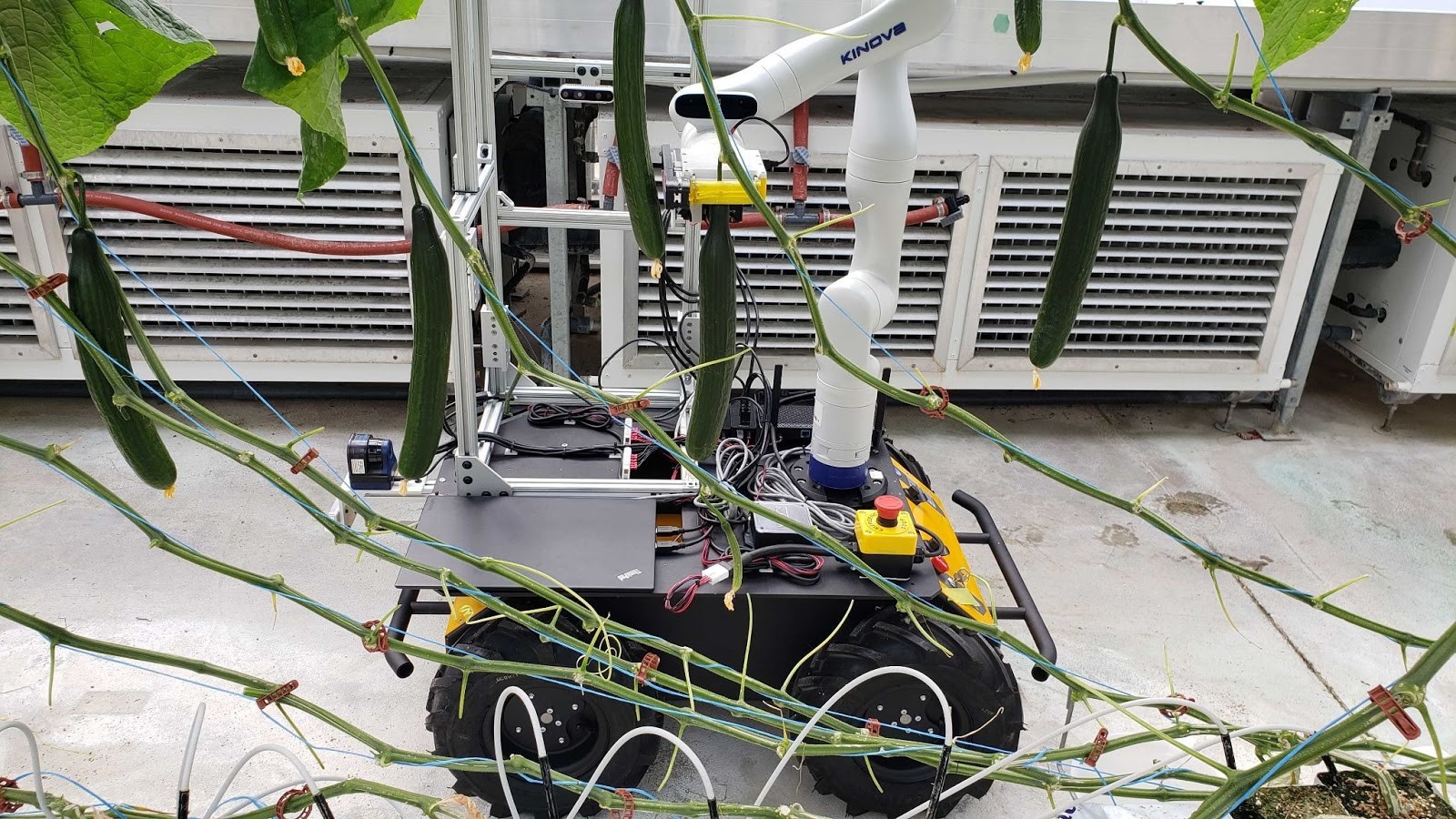 Vineland Converts Husky UGV into Cucumber Harvester to Boost Commercial ...