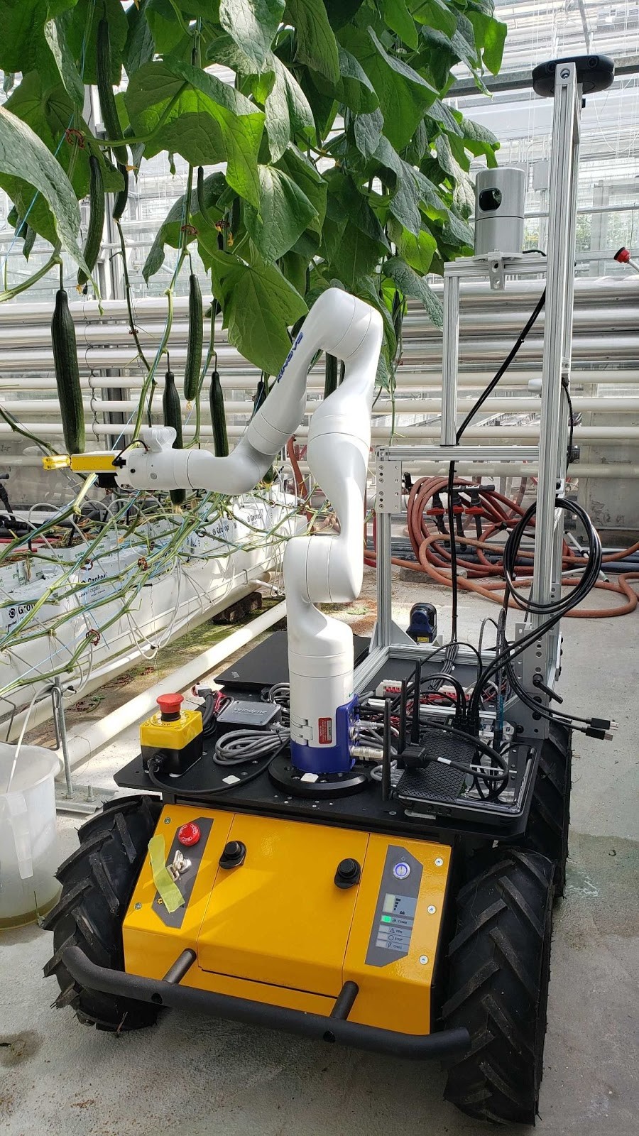 Vineland Converts Husky UGV into Cucumber Harvester to Boost Commercial ...