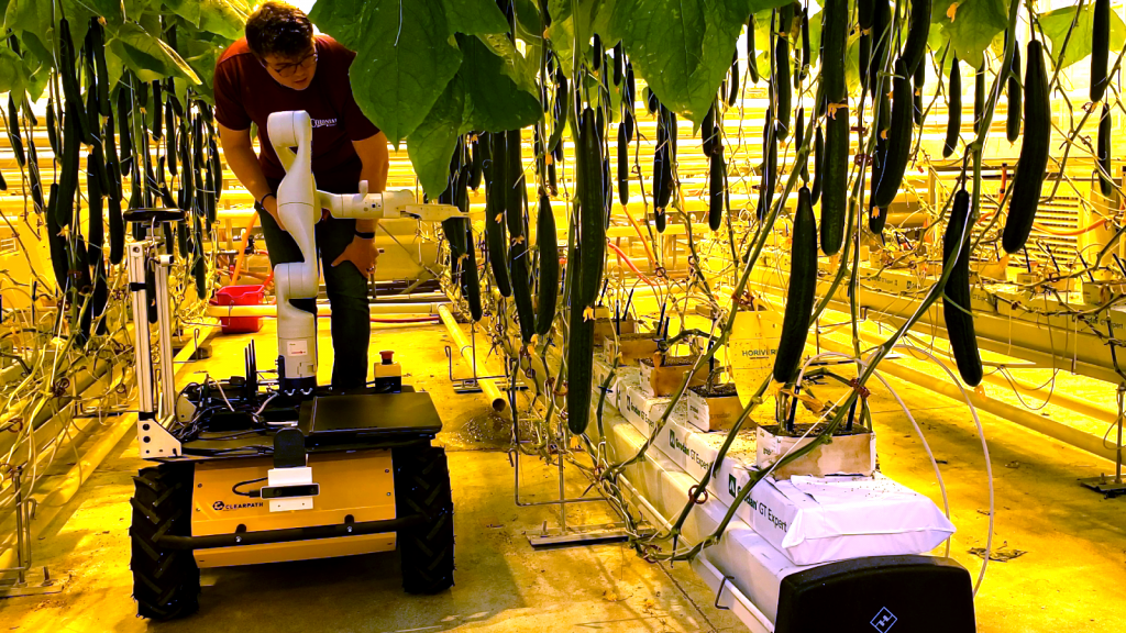 Vineland Converts Husky UGV into Cucumber Harvester to Boost Commercial ...