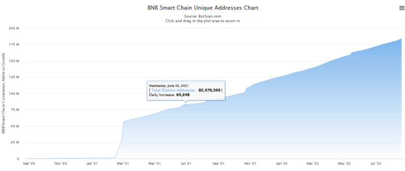 BscScan: An Ultimate Guide To Using It