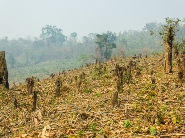 The Biggest Environmental Problem That No One is Talking About - Farm ...