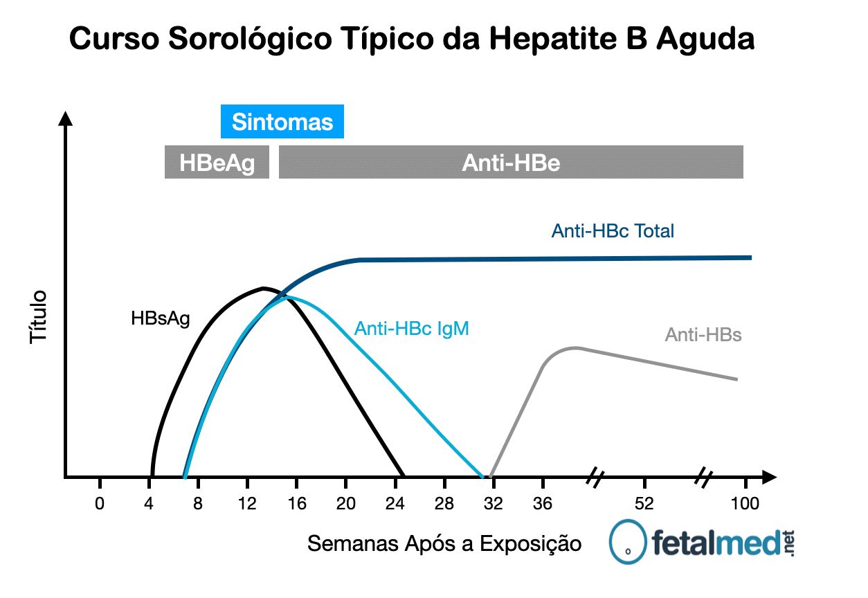 O que é o exame HBsAg? | Fetalmed - Medicina Fetal em Curitiba