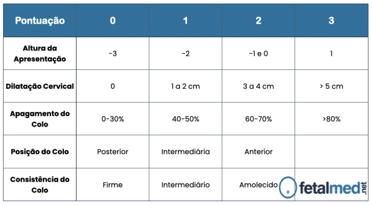 O Que é o Índice de Bishop? | Fetalmed