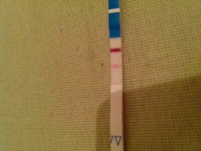 O Caminho para a Maternidade: Como Ler e Reagir a um Teste de Gravidez ...