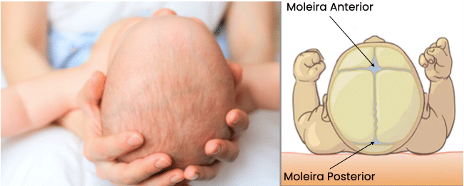 A Moleira do Bebê: Um Guia Completo para os Pais | Fetalmed