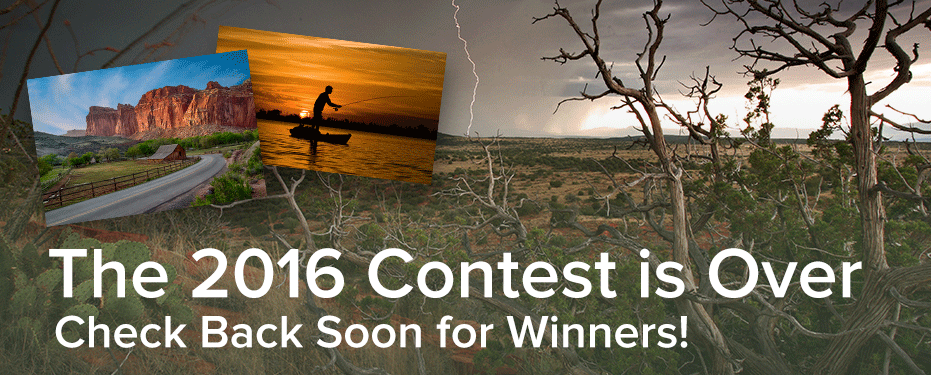 Share the Experience | home