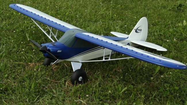 Carbon-Z Cub | Flite Test