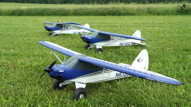 Carbon-Z Cub | Flite Test