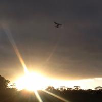 FT old fogey Review | Flite Test