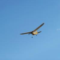 Flyzone Micro cub Review | Flite Test