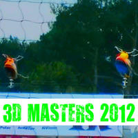 3D MASTERS 2012 VIDEO | Flite Test