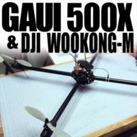 Gaui 500X with DJI Wookong-M | Flite Test