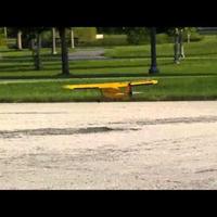 Cub Fun! | Flite Test