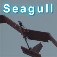 Seagull Plane | Flite Test