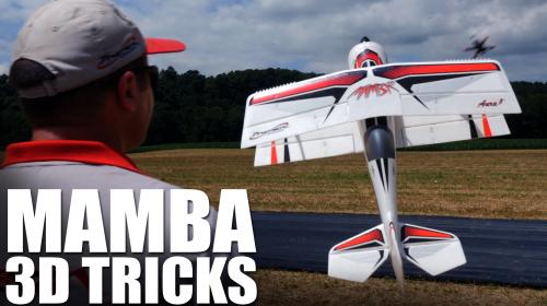 Learning 3D Tricks on the Mamba | Flite Test