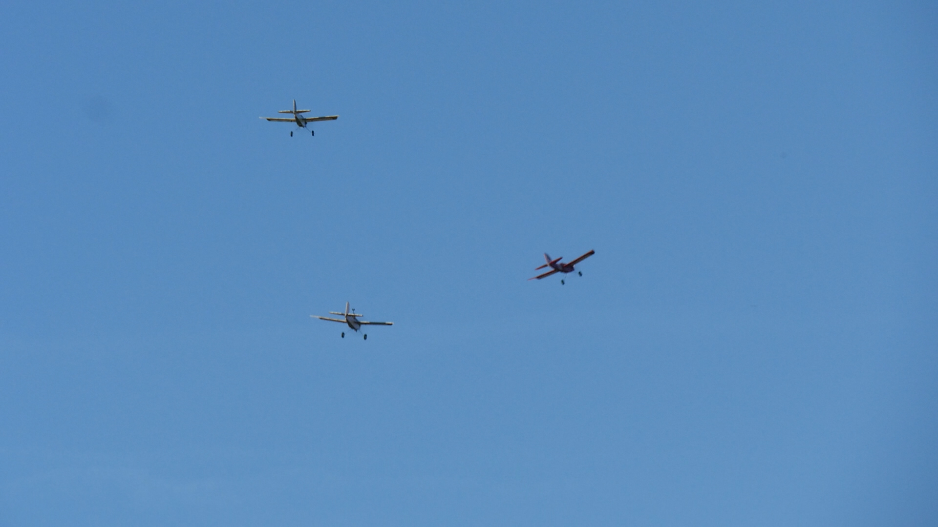 FT Simple Scout | Flite Test