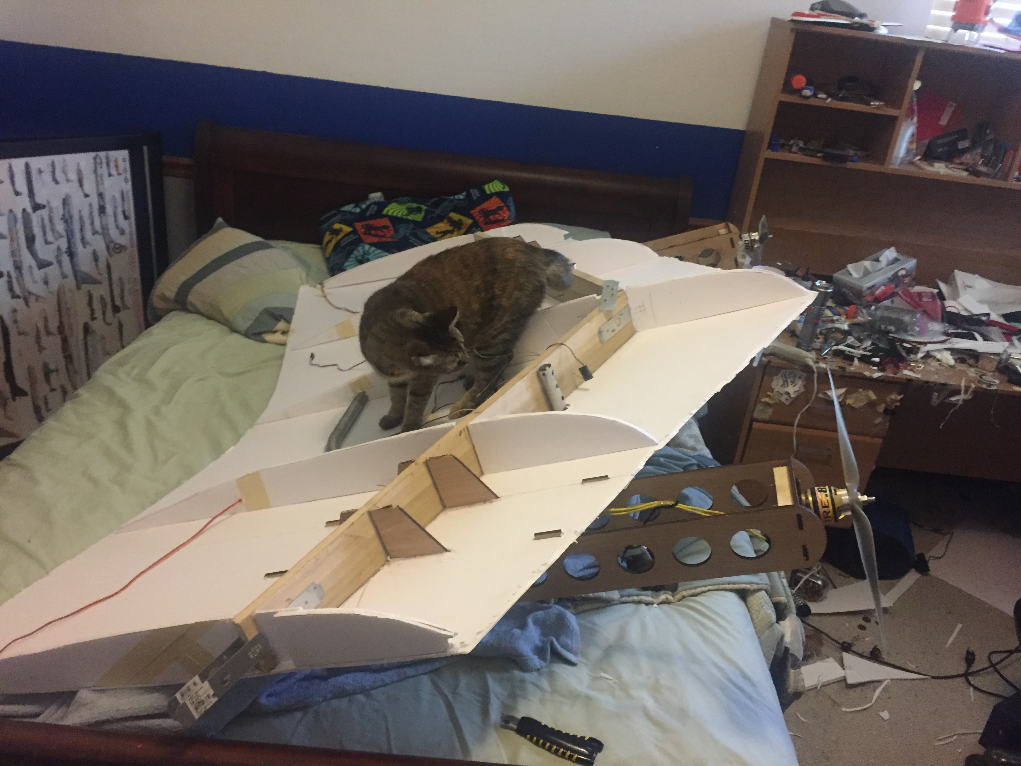 200% FT Kraken, Build, Tips, and Flight! | Flite Test