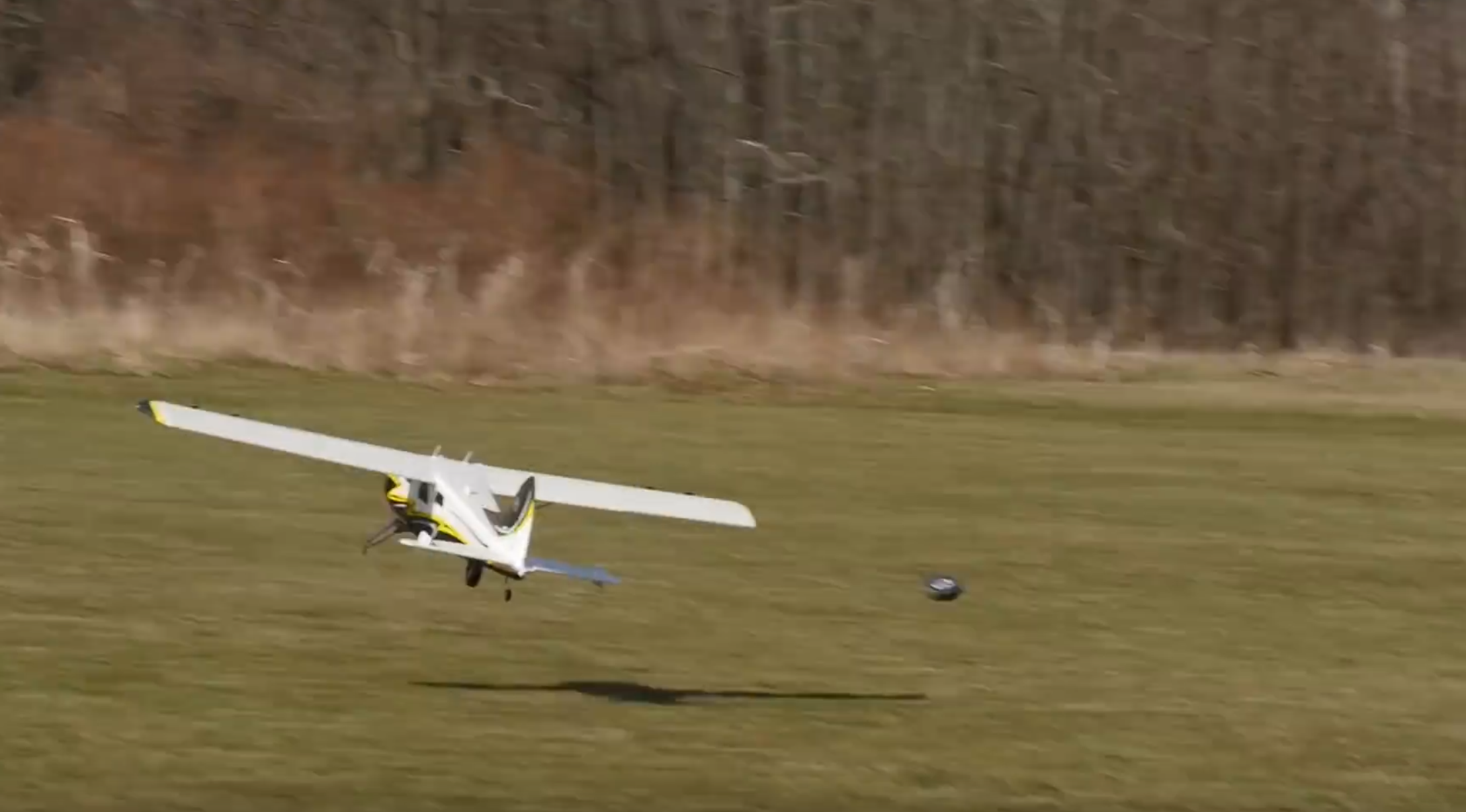 FMS 2000mm Beaver - Review | Flite Test