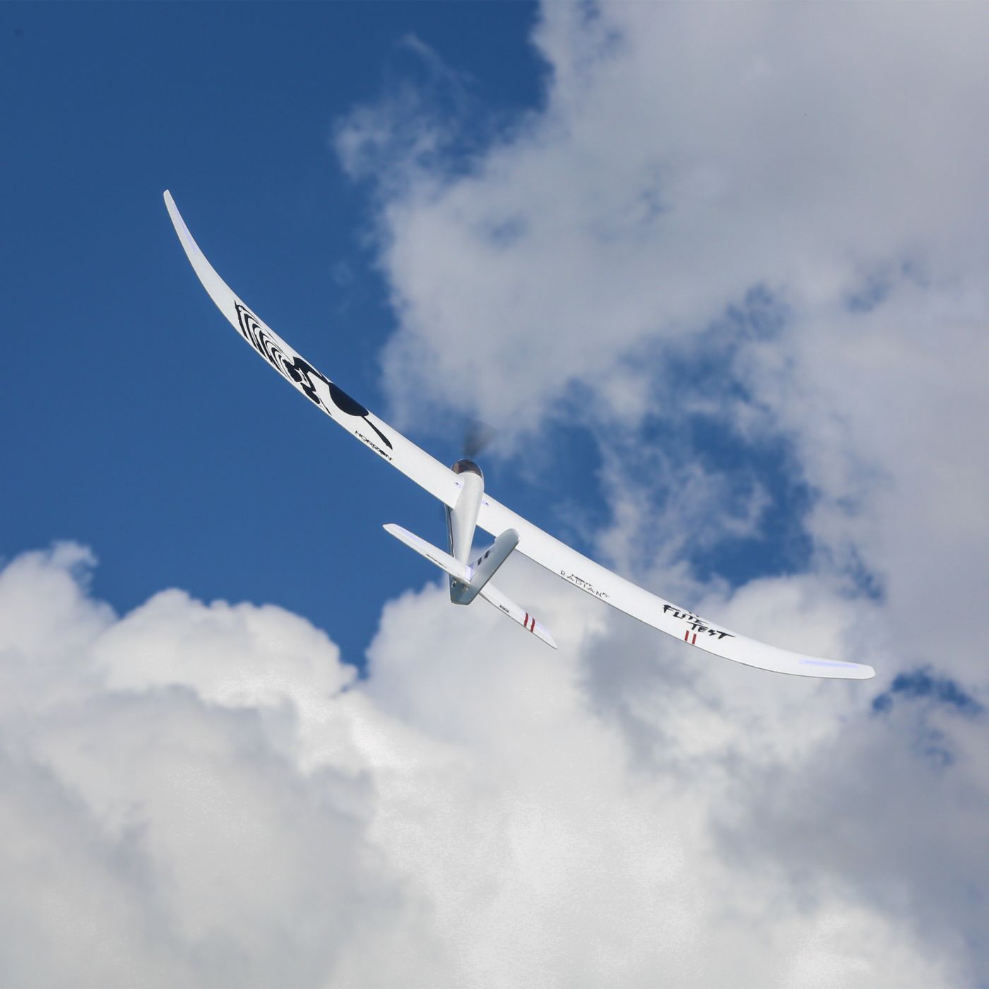 New E-Flite Night Radian - Flite Test Edition! | Flite Test