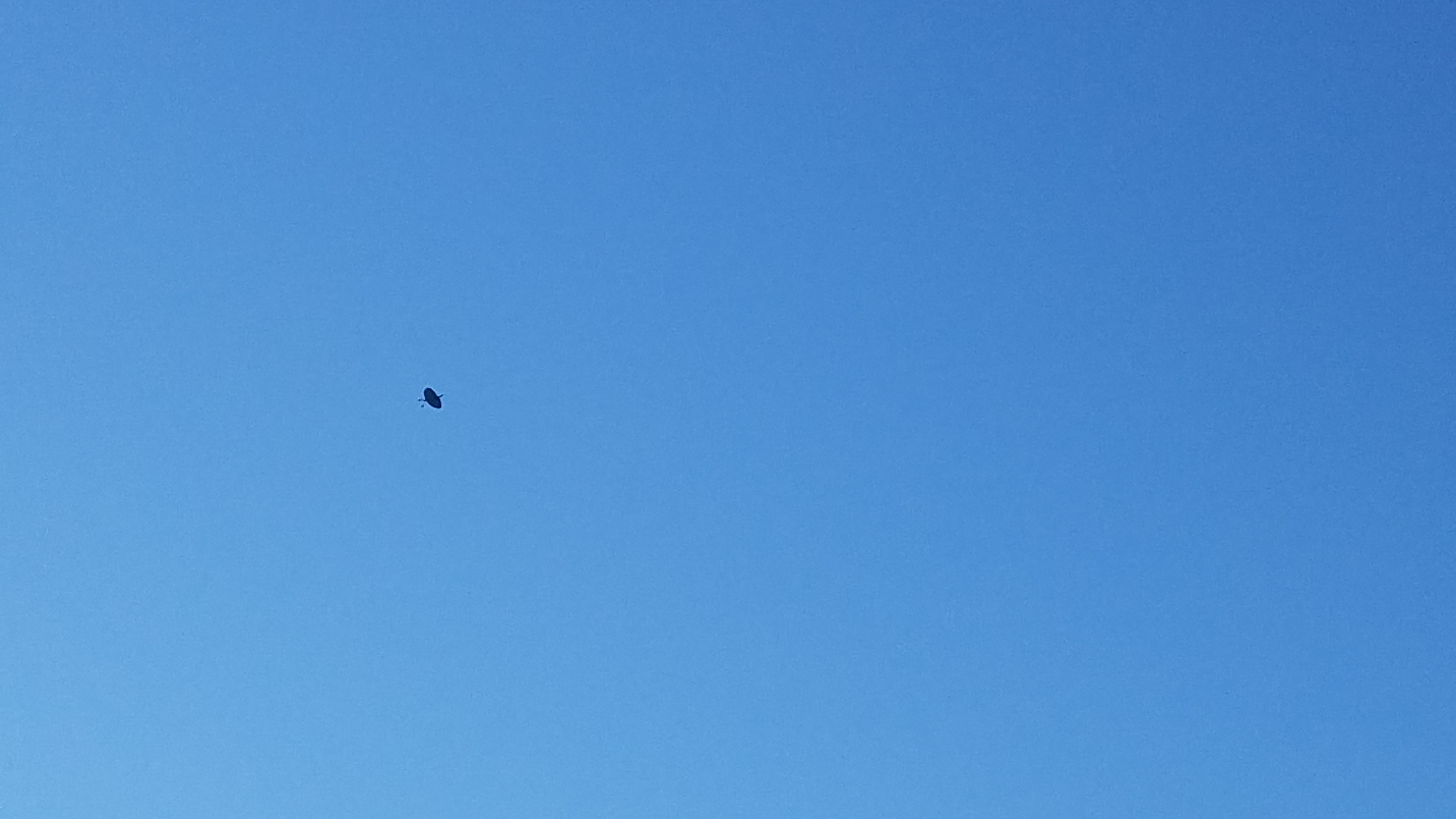 Ft Nutball (Balsa Version 1) | Flite Test