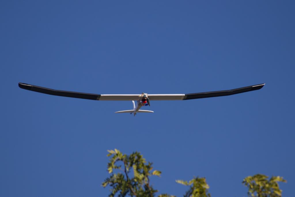 This Community Member Built an XXL Soarer! | Flite Test