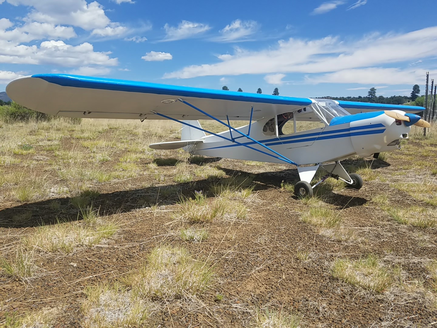 1/3rd Scale Super Cub | Flite Test