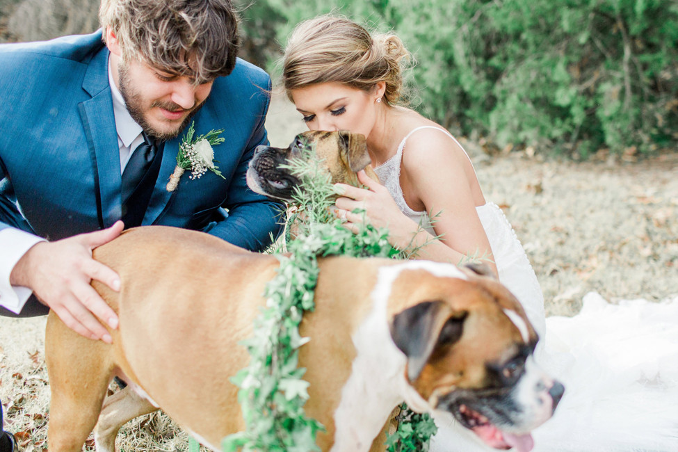 Boxer Dog Wedding Dress