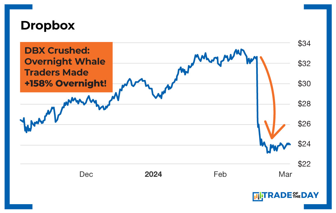 How "Whale Trades" Delivered +154% Overnight - Trade of the Day