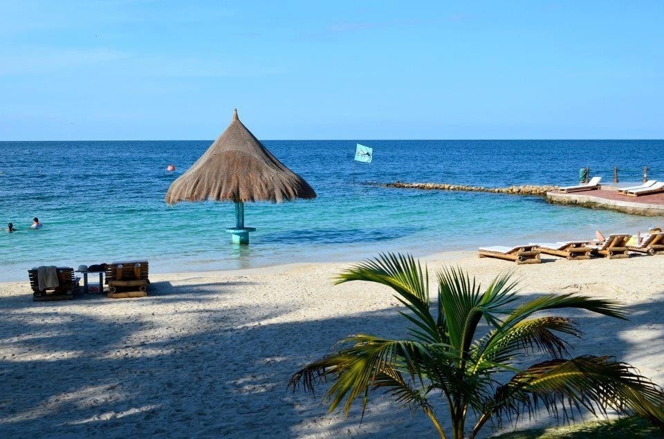 🌴 *ISLA MÚCURA TERRESTRE* FULL DAY