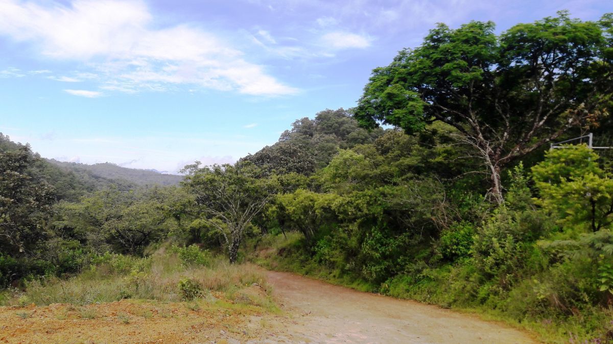 Terreno en venta en Carretera,Guadalajara-mascota, Mixtlán, Mixtlán ...