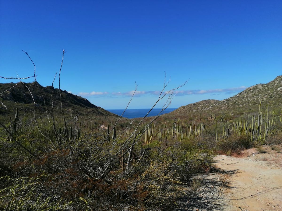 Playa El Colorado 45 Has. Vista PANORAMICA