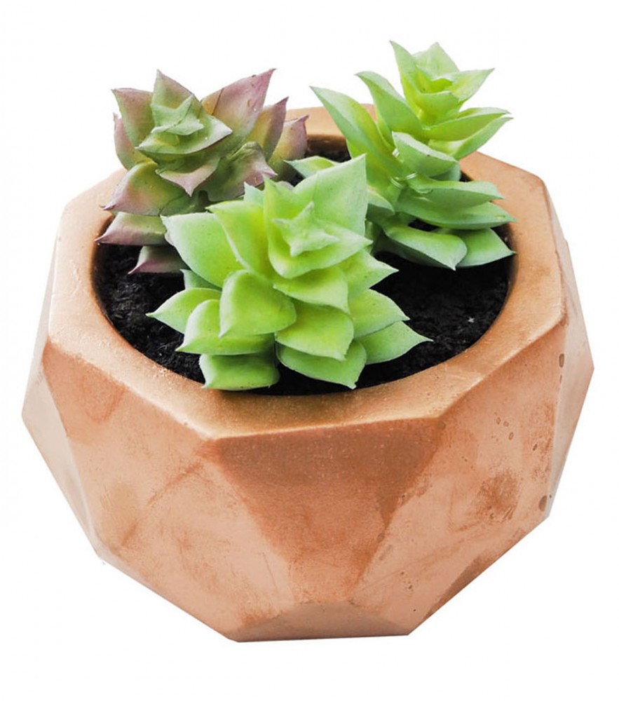 What Are Geo Pots at Robert Mosher blog