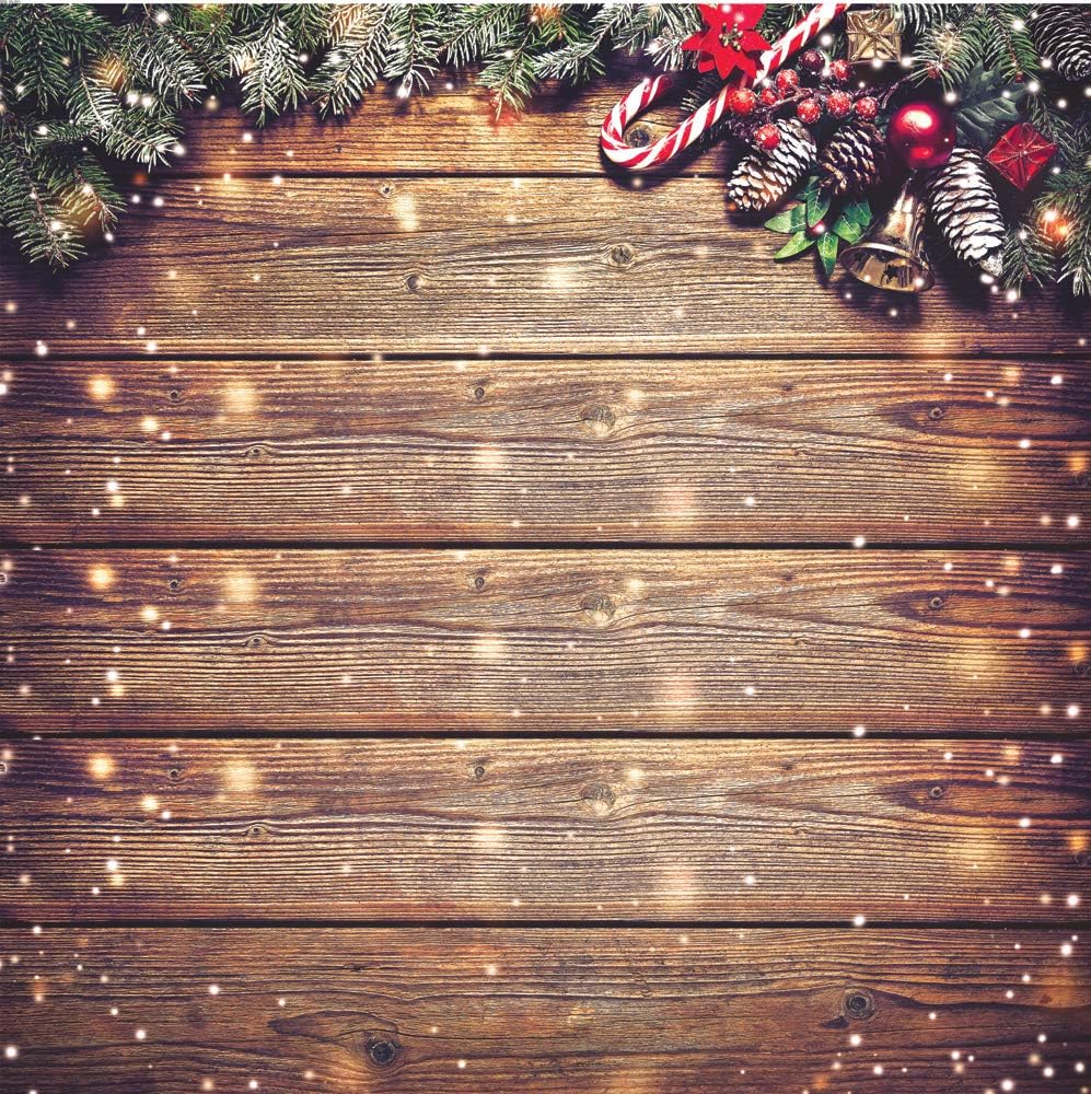 Rustic Christmas Photo Backdrop | Mutton Party and Tent Rental